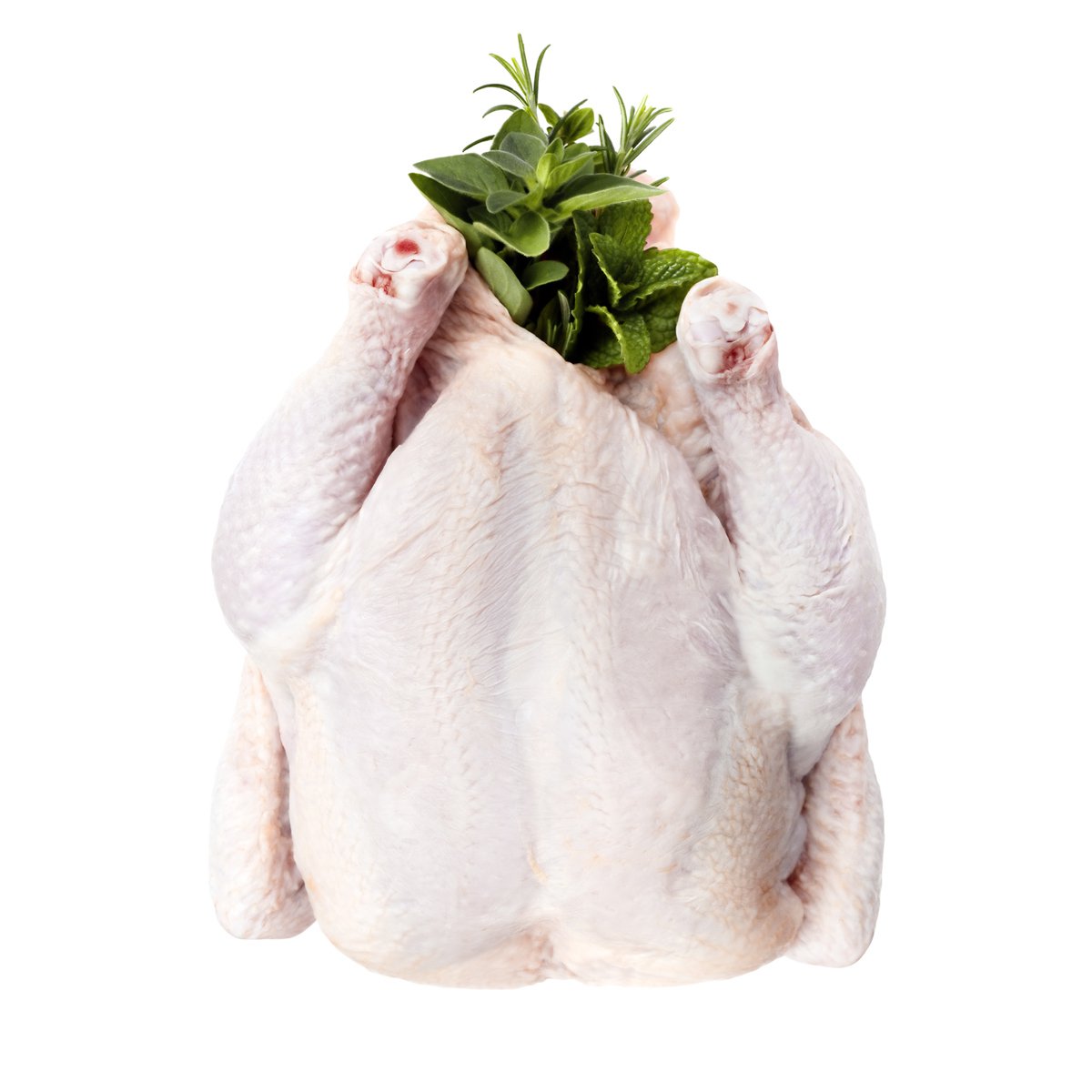 Chicken body - Suckling Pigs Online